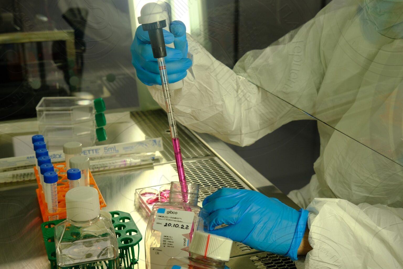 Cancer Vaccine - biotech solutions in the fight against cancer diseases